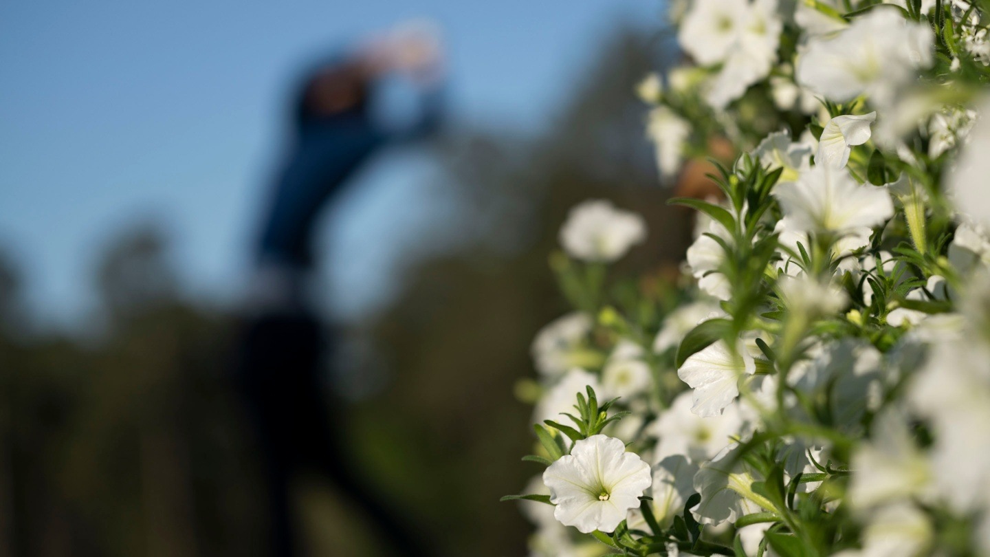 Best from the First Round