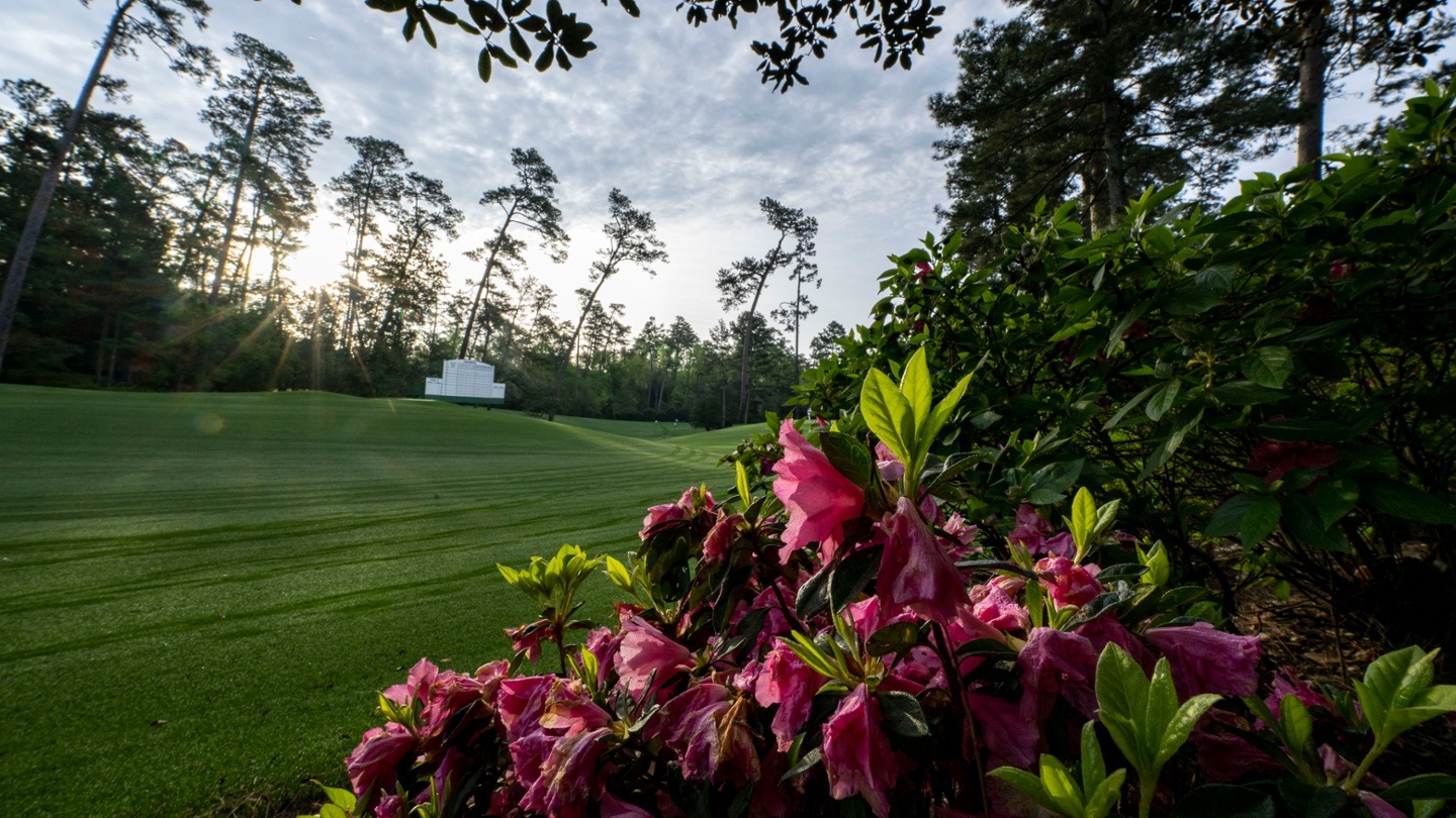 Friday Morning at Augusta
