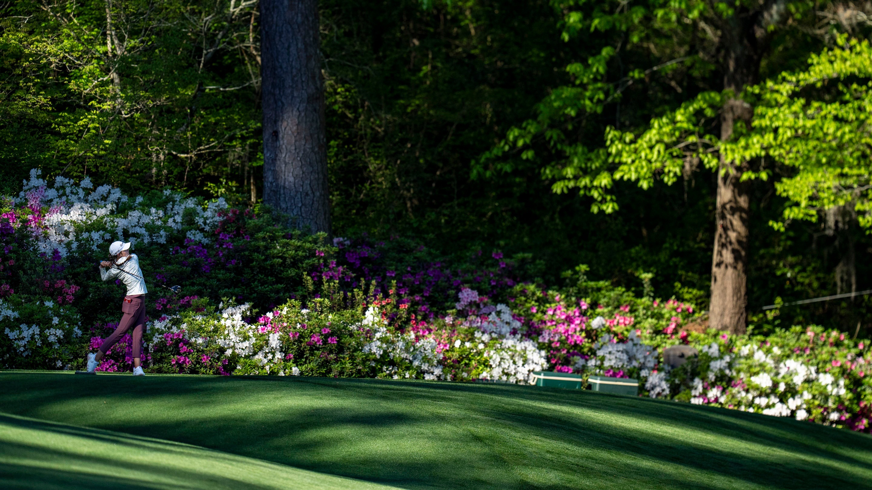 Good Morning from Augusta National
