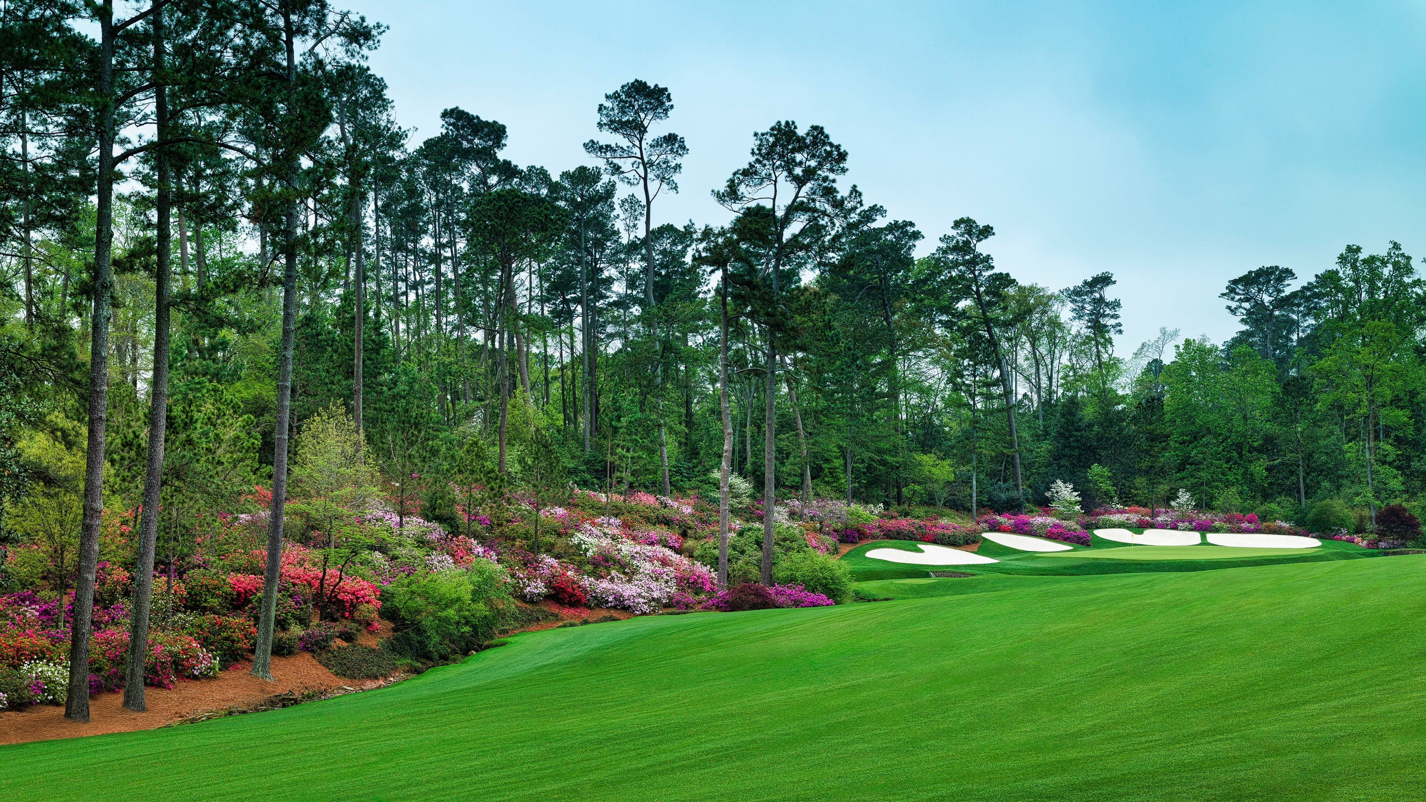 Course Beauty from Augusta National