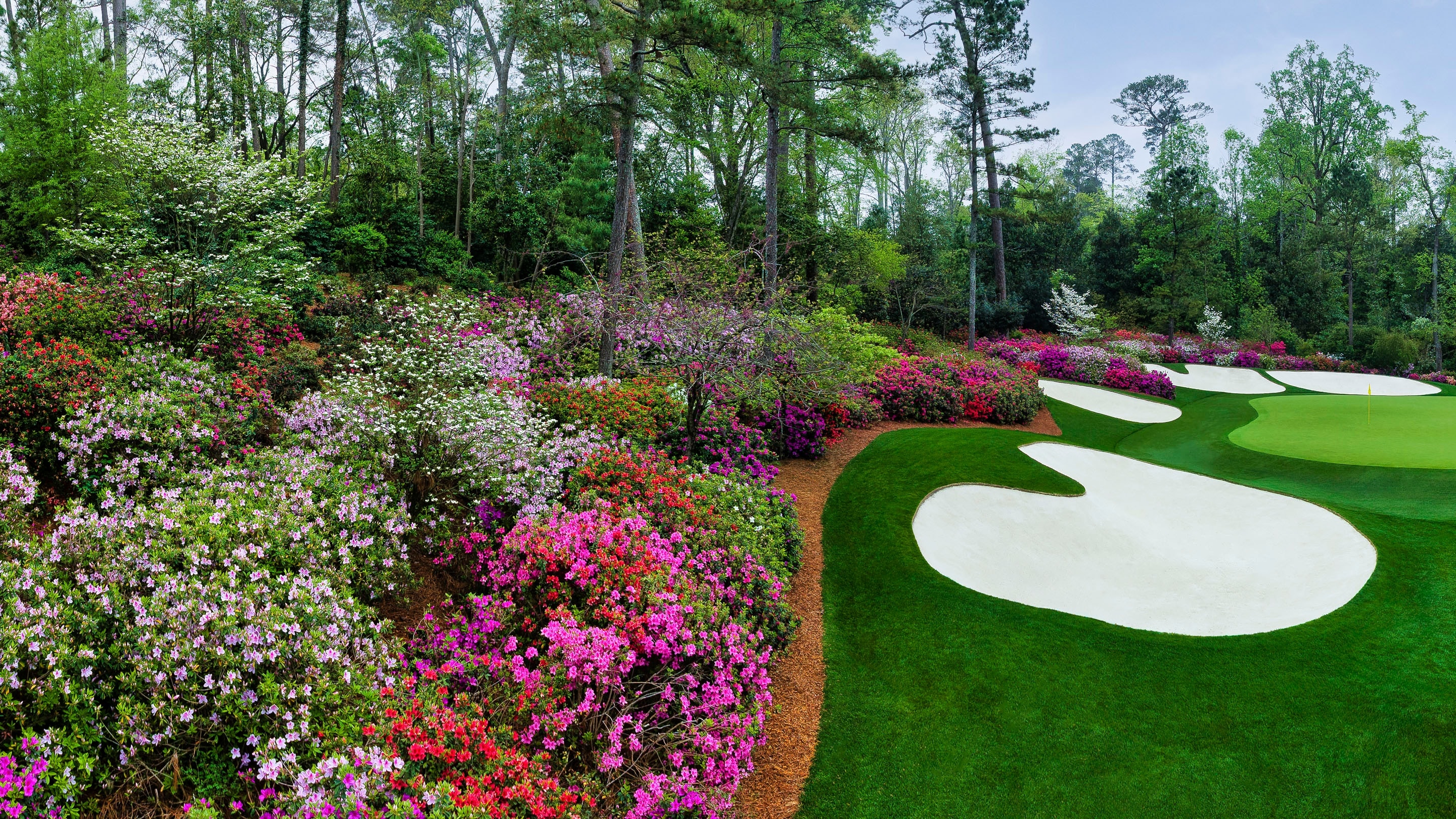 Course Beauty from Augusta National